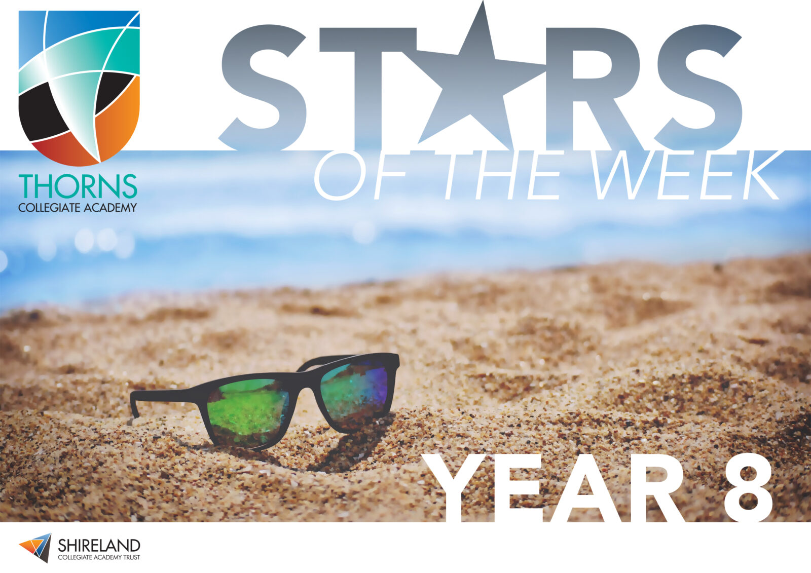 Year 8 Stars Of The Week - w/c 30/03/2020 - THORNS COLLEGIATE ACADEMY